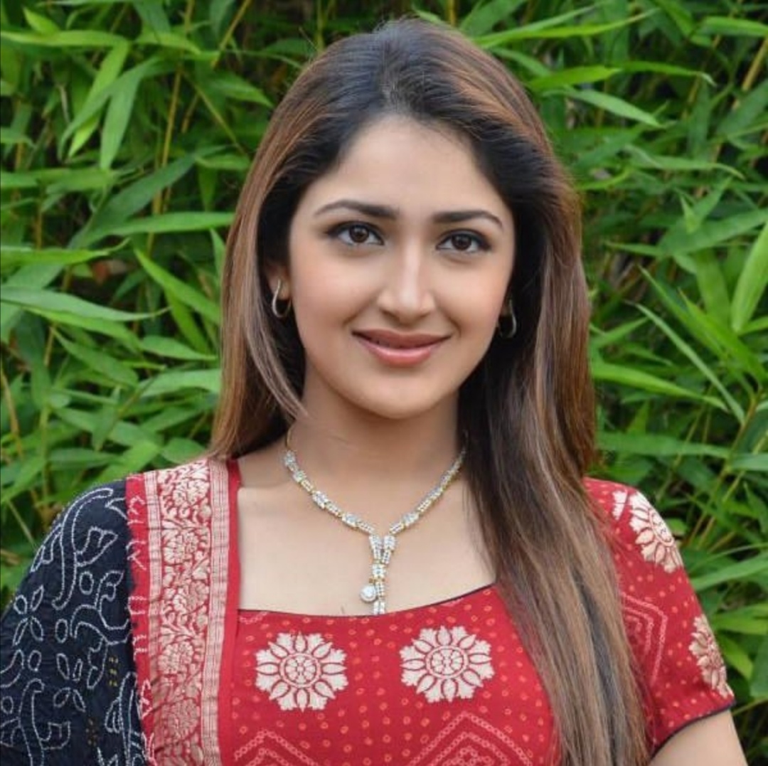 Sayesha Saigal Lifestyle 2020, Husband, House, Cars, Salary, Family and ...
