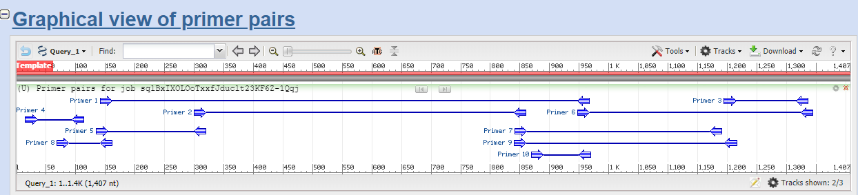Primer designing- designing a Primer by NCBI Tool - TechSci