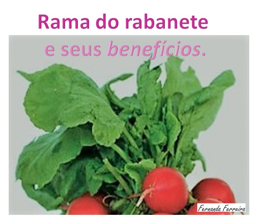 Casa da Saúde: Rama dos Rabanetes e seus beneficios