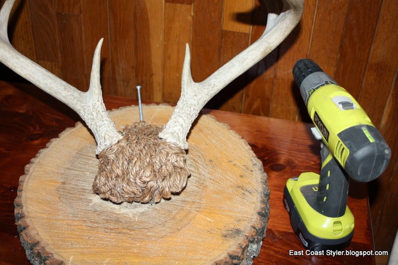 East Coast Styler : Wood Log Mounted Deer Antlers idea