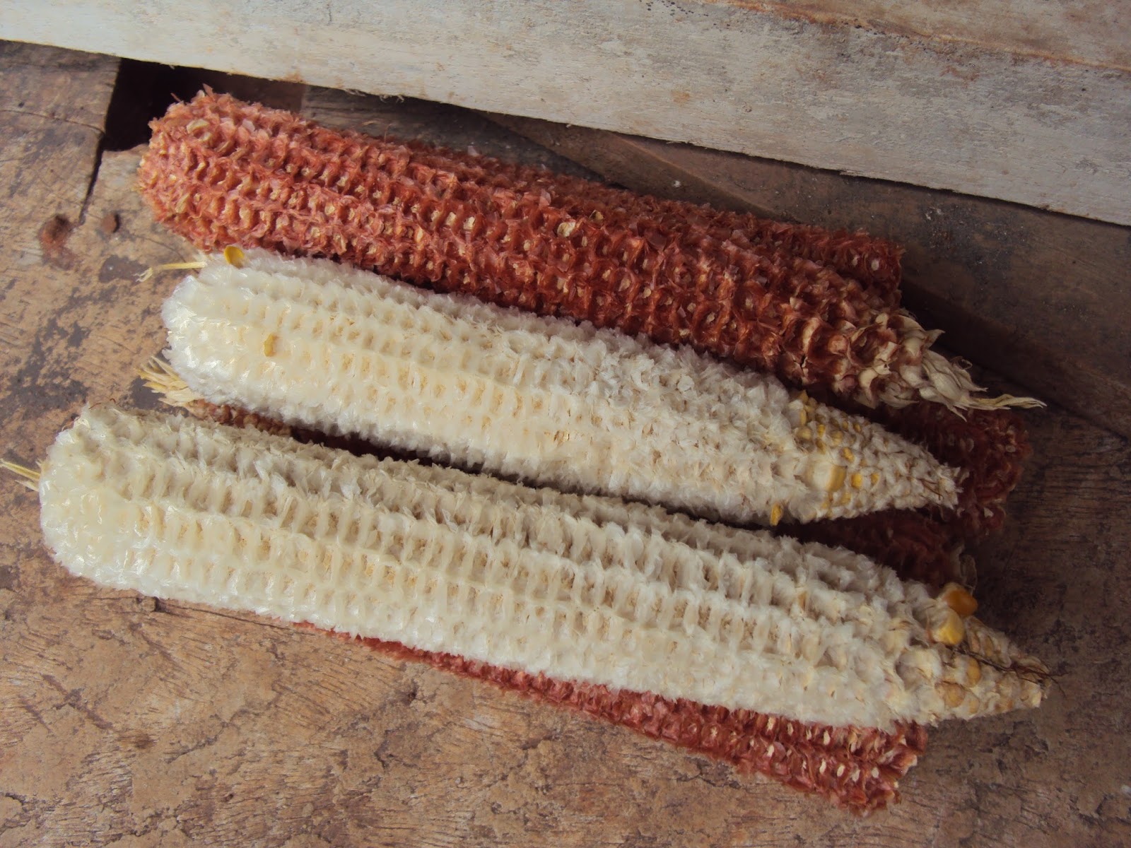 SOCIOLOGÍA DE AZUERO...Milcíades Pinzón Rodríguez: SOCIOLOGÍA DE LA TUSA