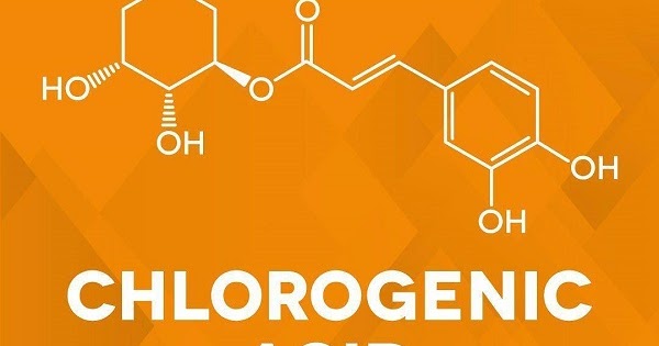 Chlorogenic acid คลอโรเจนิค สารให้ความสุข ให้สมาธิ