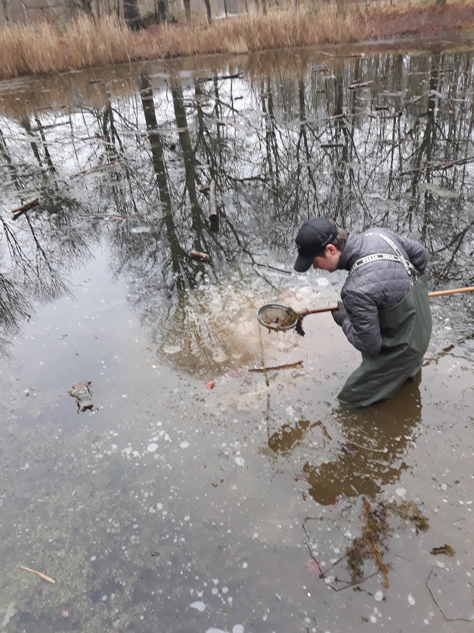 Biotop-aktivitet 4/4 Hvirvelløse dyr i sø