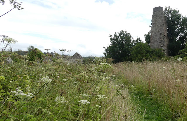 Julia Garner : Malltraeth Marsh, Cors Ddyga RSPB reserve