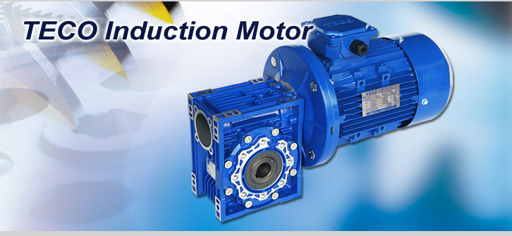 Automation & Design: Teco Electric Motor