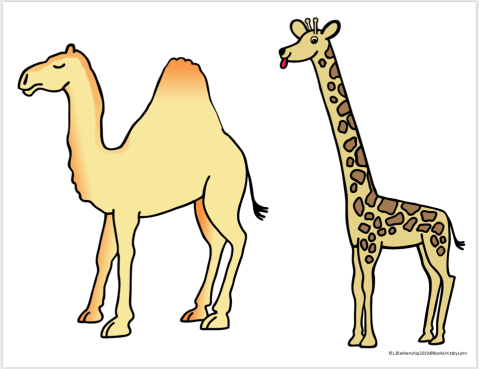 DEAR ZOO BULLETIN BOARD ~ Book Units by Lynn