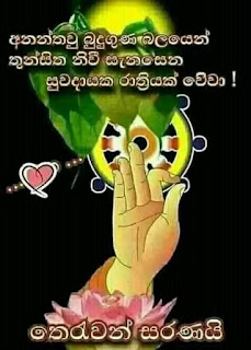 Sinhala budu saranai good night wishes | Sinhala good night, budu ...