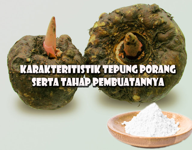 TANAMAN PORANG INDONESIA