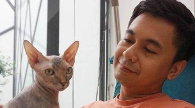 Inilah Kucing Para Artis Dengan Harga Fantastis