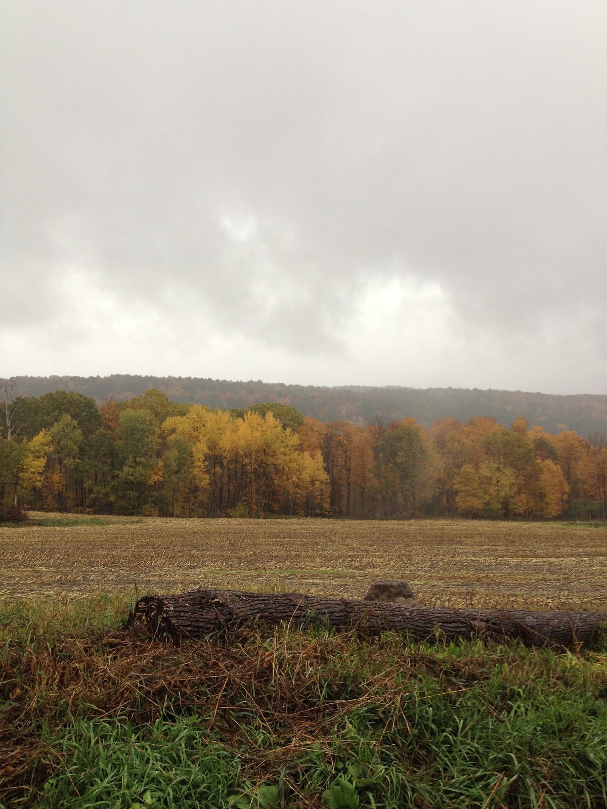 la porte rouge: elements