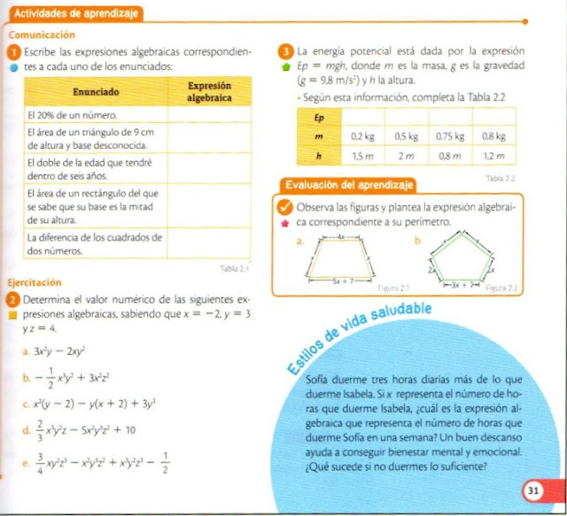 MATEMÁTICAS ENSV | 2020: Grado Octavo