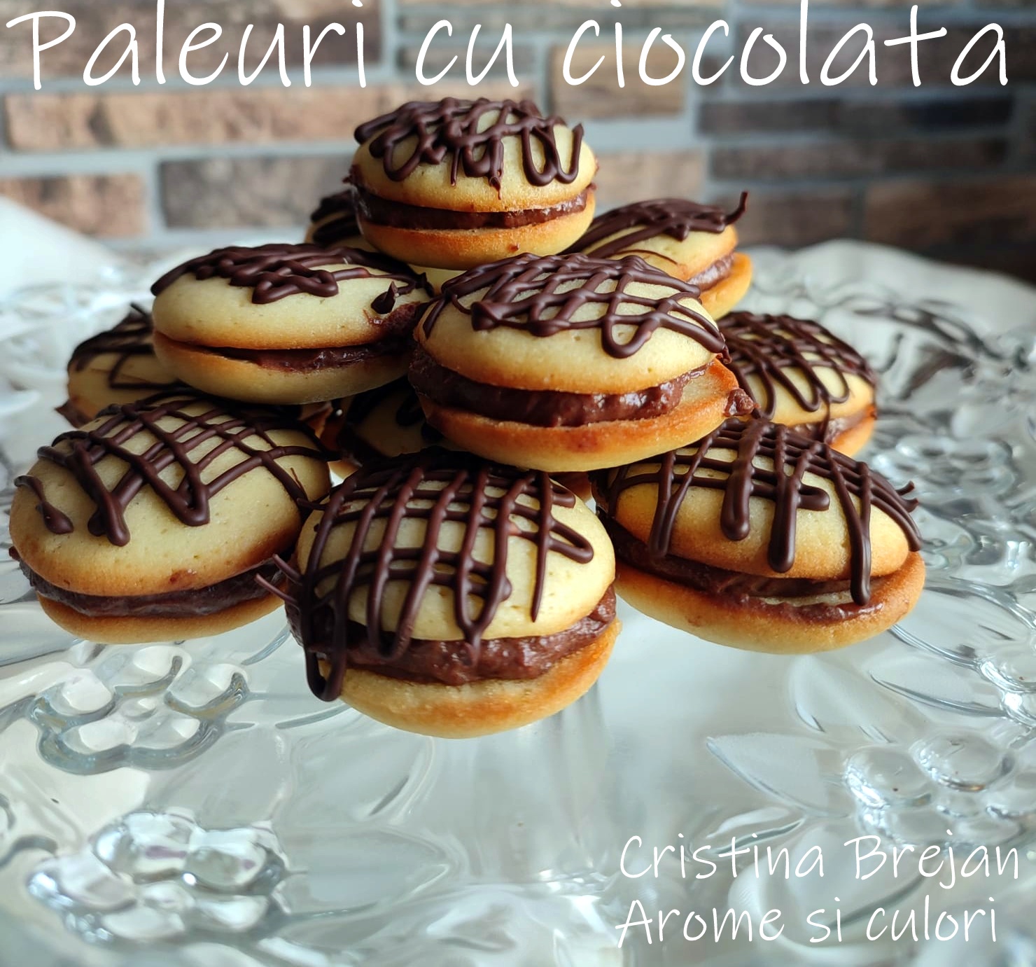 Arome si culori : Paleuri cu ciocolata