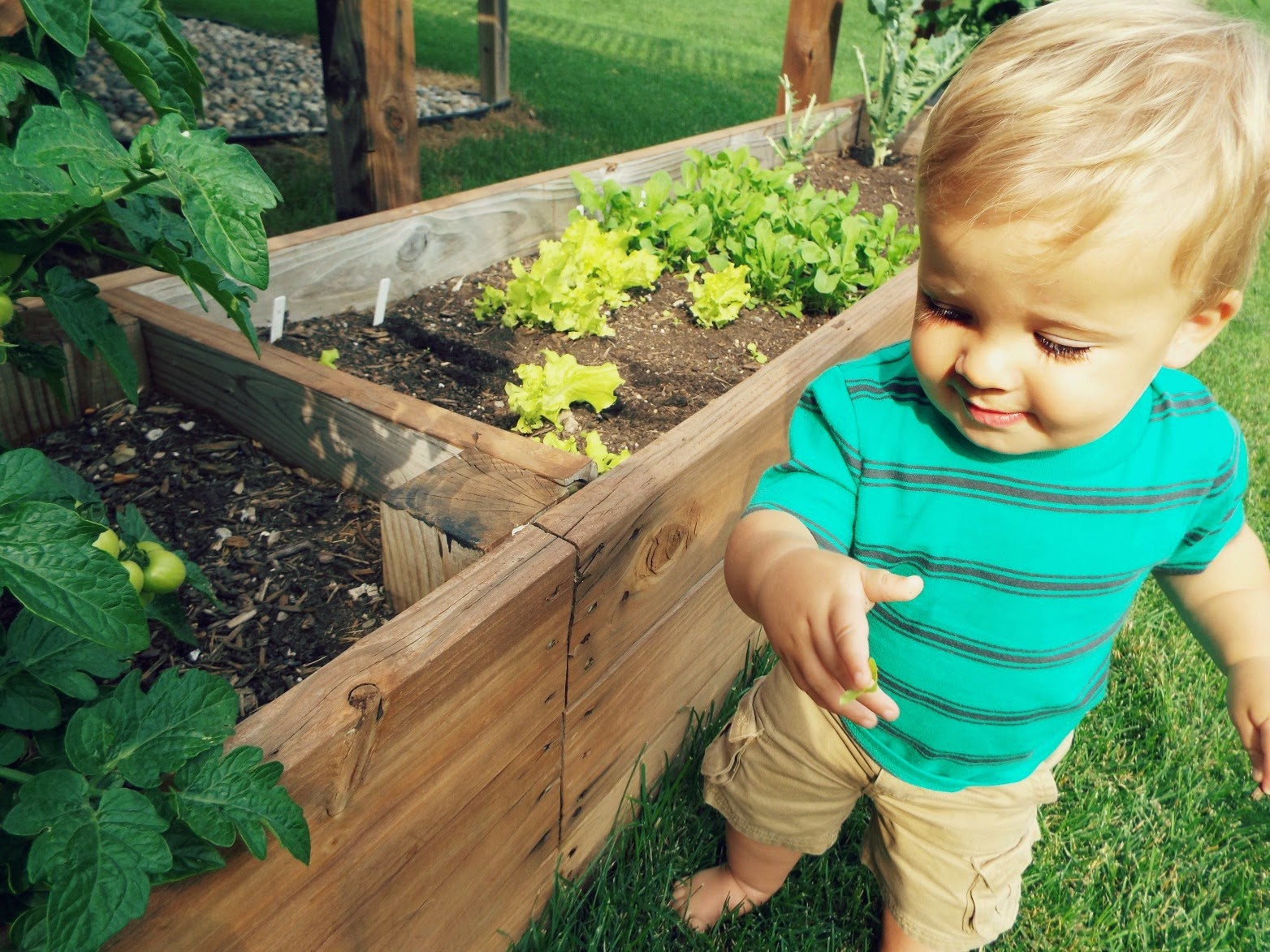 All The Pretty Things: Discovering Nature as a Toddler