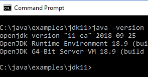 Inspired by Actual Events: Applying New JDK 11 String Methods