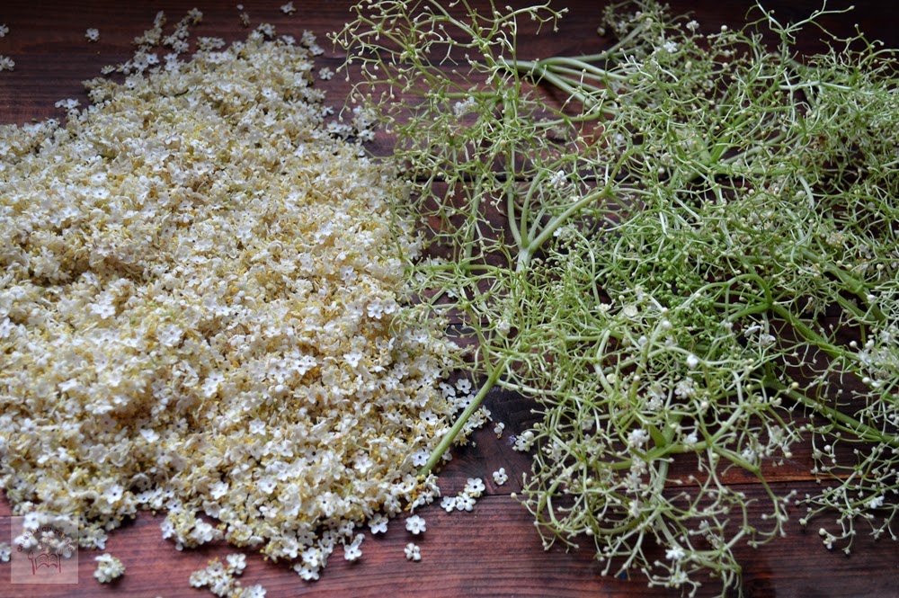 Sirop de soc - CAIETUL CU RETETE