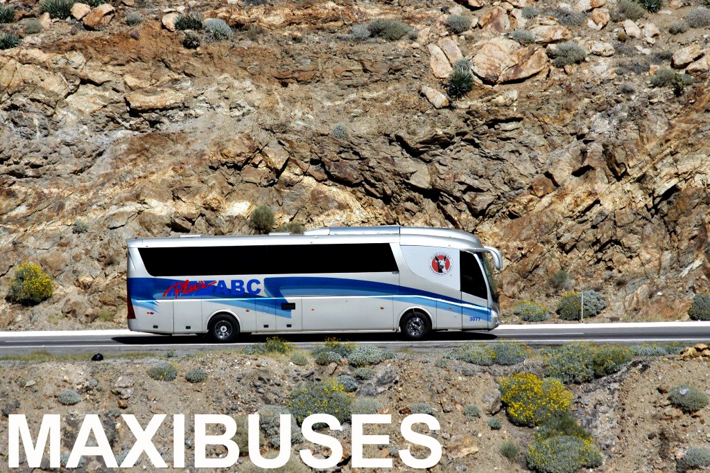 MAXIBUSES: ESPECIAL - AUTOTRANSPORTES DE LA BAJA CALIFORNIA, ABC PLUS