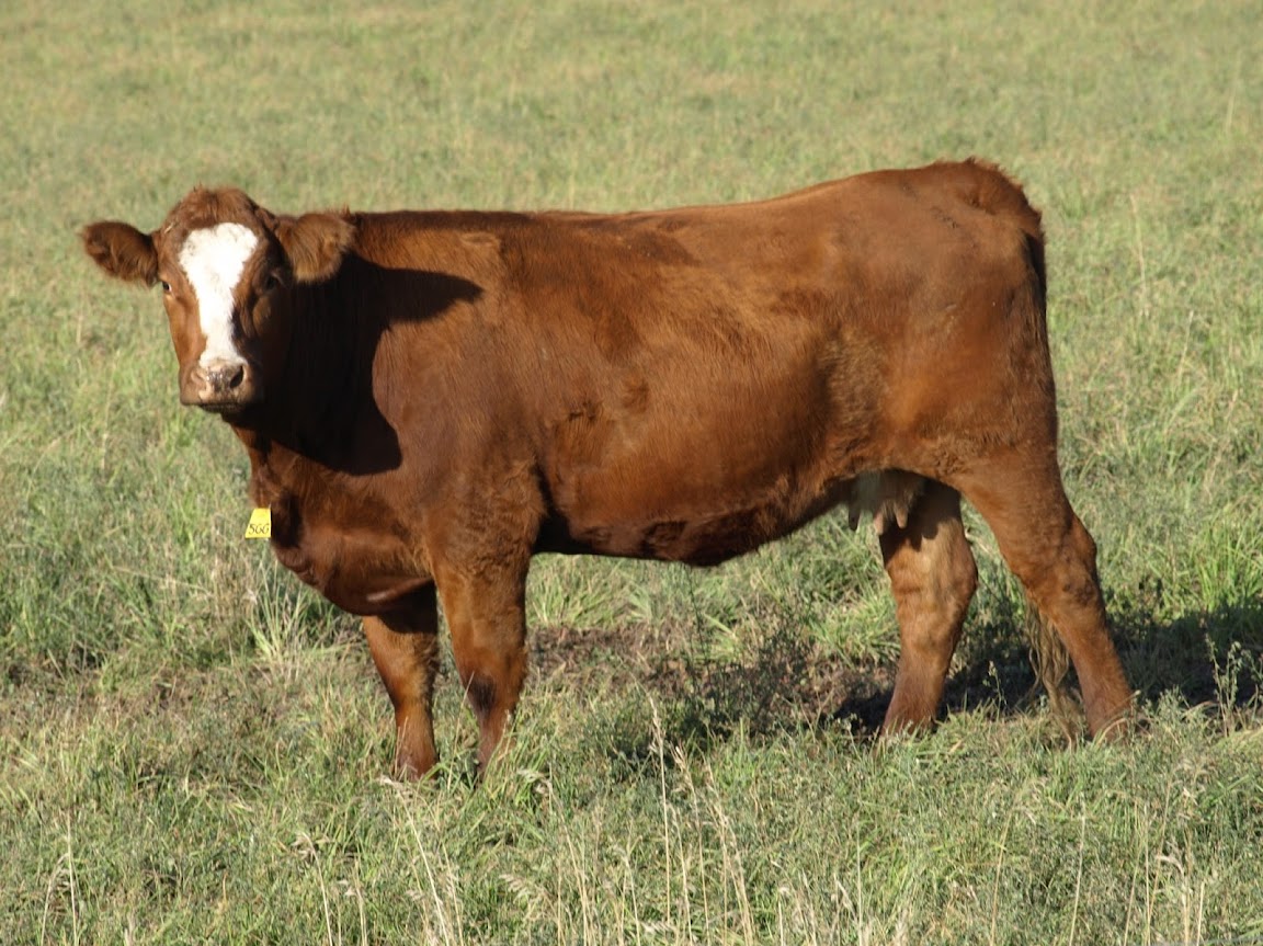 Planet in Peril (PinP) where science gets respect!