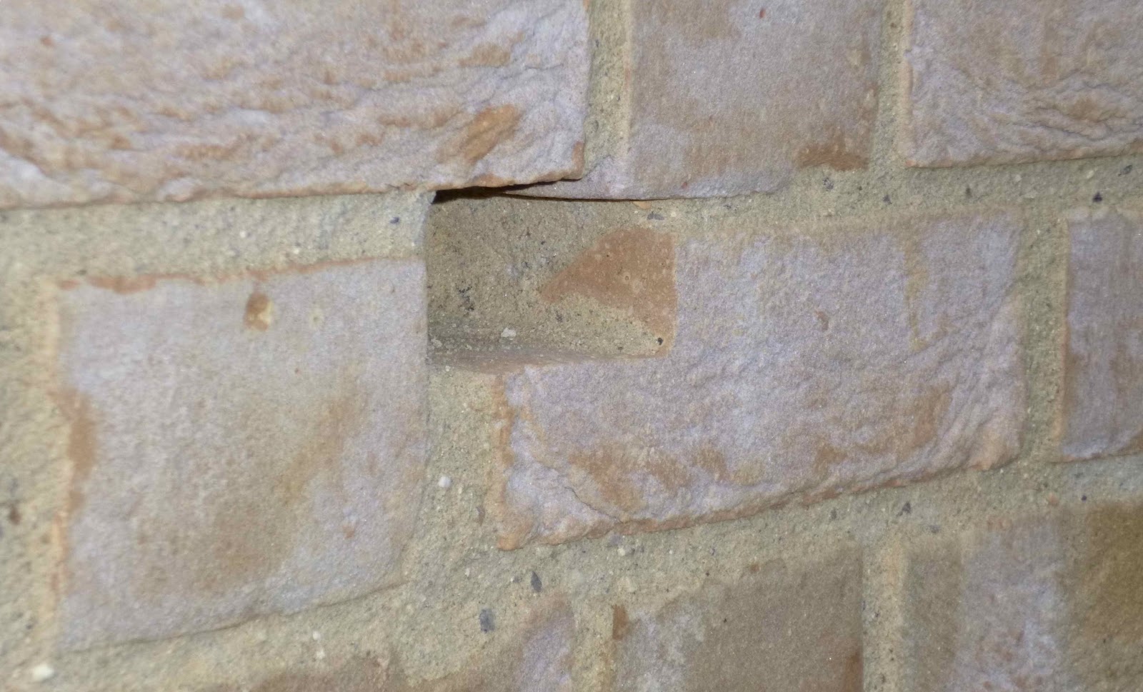 Action for Swifts: A new house with 9 new Swift boxes