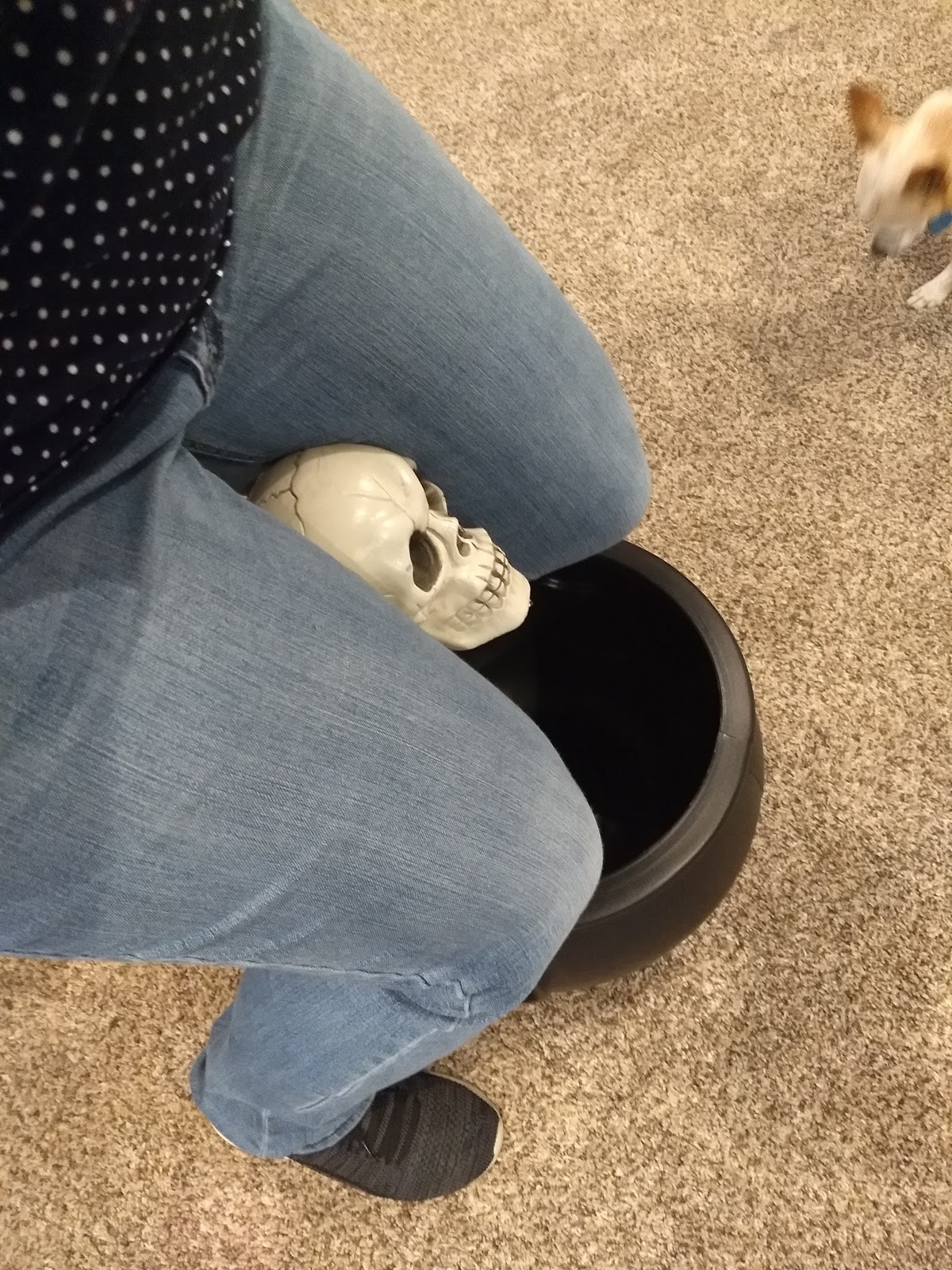 Must Run in the Family: Crypt Keeper's Crypt Halloween Party Game