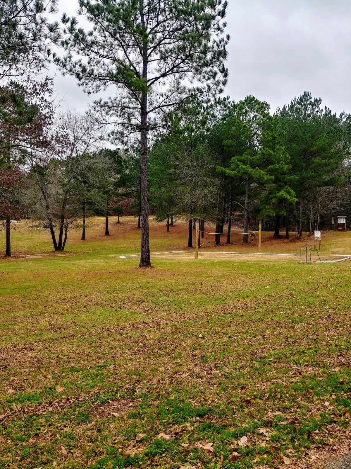Another Mile Another Destination Blog: Grovetown Trails at Euchee Creek ...