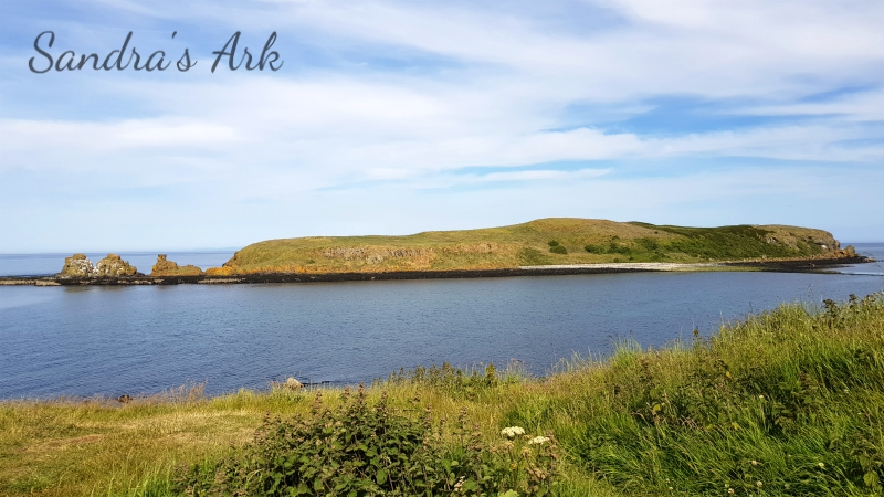 Sandra's Ark: Islandmagee - A to Z of Places I have Visited