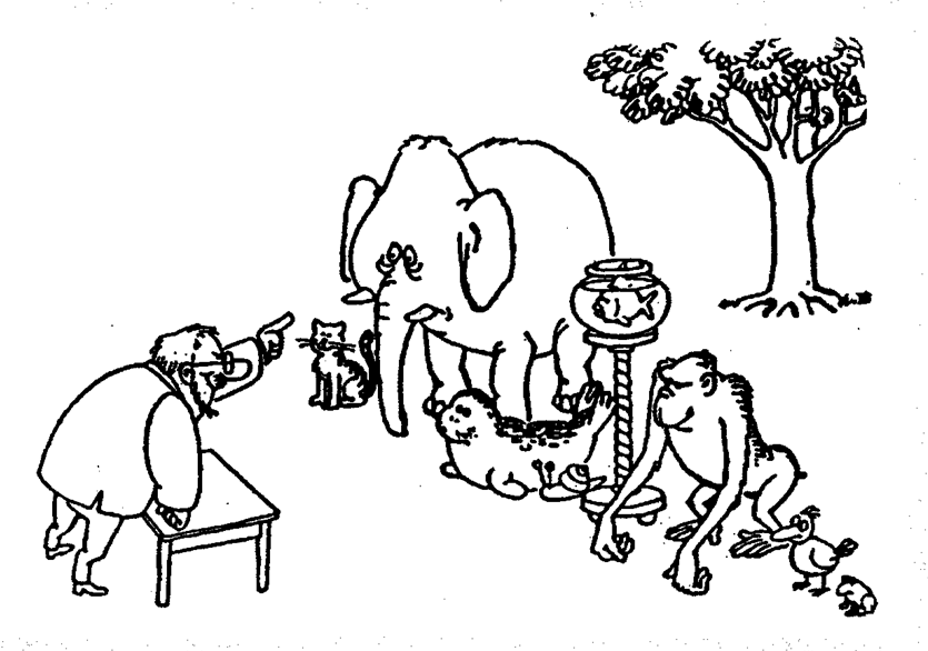 Valgfaget: Specialpædagogik: Differentiering en vej til inklusion