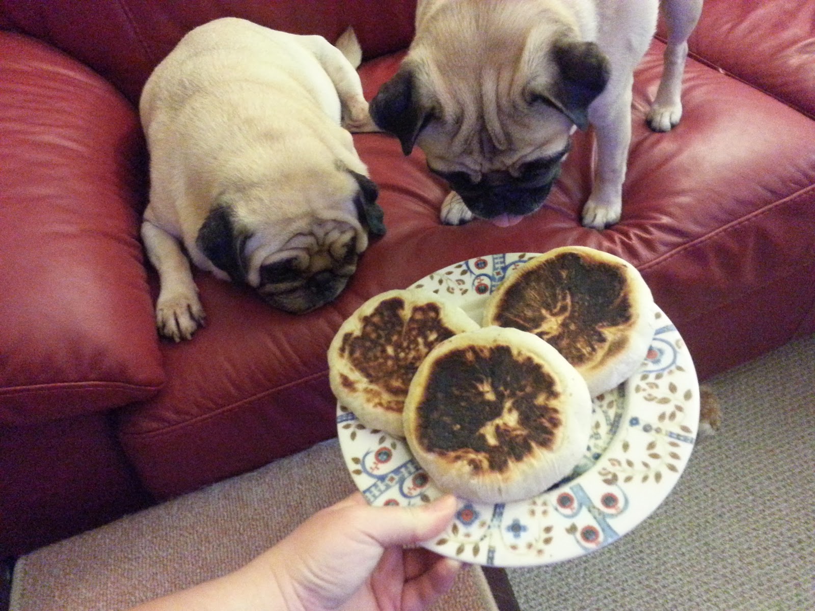 Grubbin' Pugs: Hoddeok (Korean Pancakes with Sweet Filling)