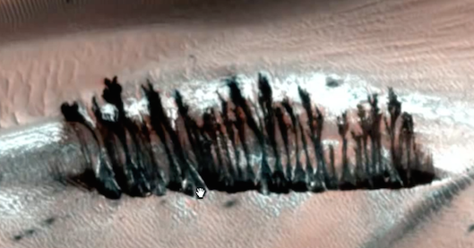 UFO SIGHTINGS DAILY: Trees Found Growing On Mars In NASA Photo HD, May ...