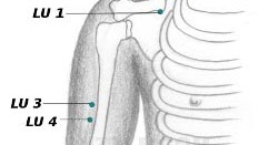 Jarum Sakti: Meridian Paru-paru & Usus Besar