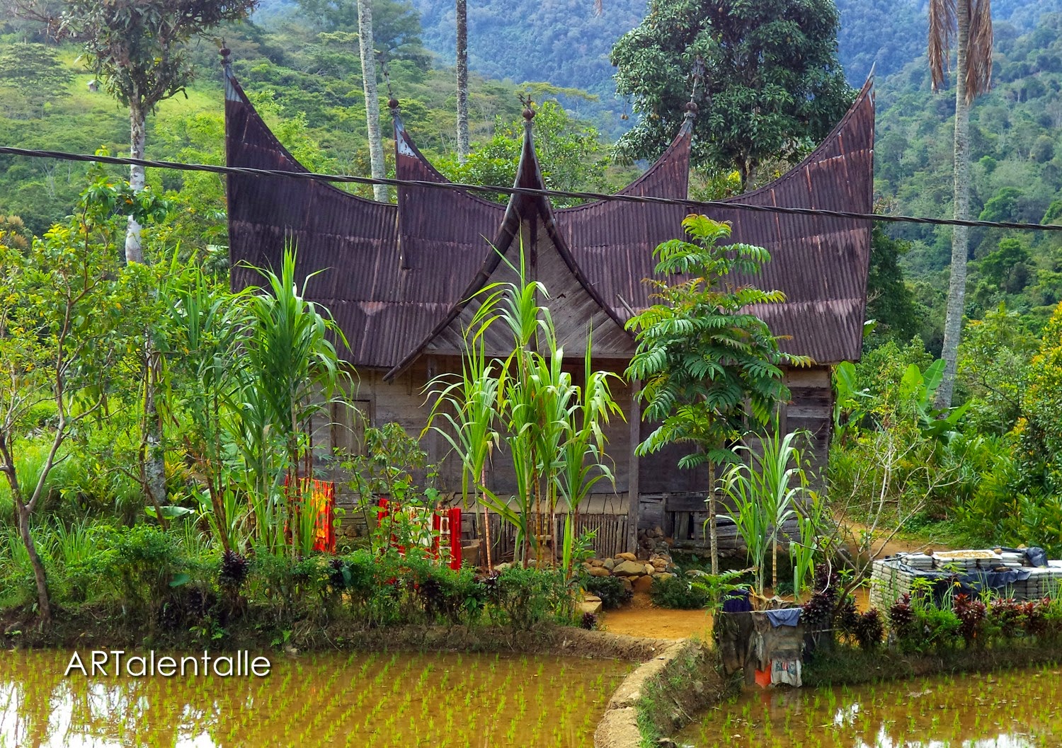 Padangsche Bovenlanden: SOLOK Part.10 'Taratak Nagari Surian'