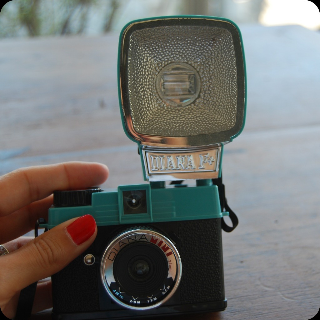 oi ta tudo bem: Algumas coisas sobre a Diana Mini