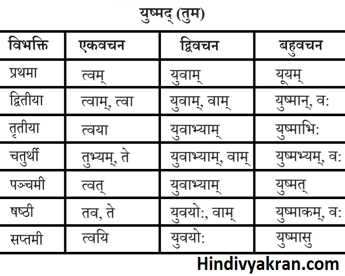 युष्मद् शब्द रूप संस्कृत में – Yushmad Shabd Roop In Sanskrit ...