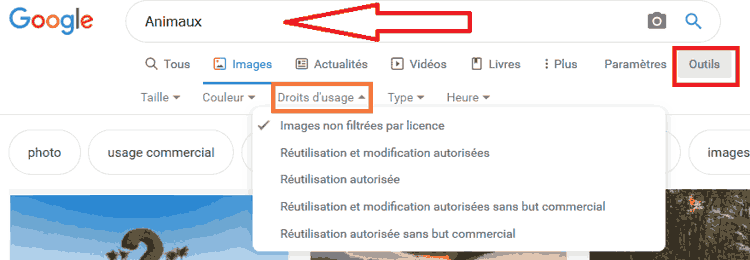 Les meilleurs sites Web pour trouver des images 100% gratuites ...