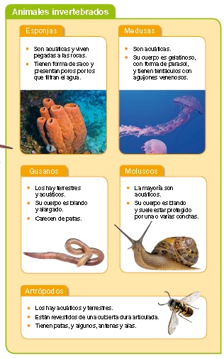Educación Primaria_El aula de Nina: CIENCIAS DE LA NATURALEZA 3º