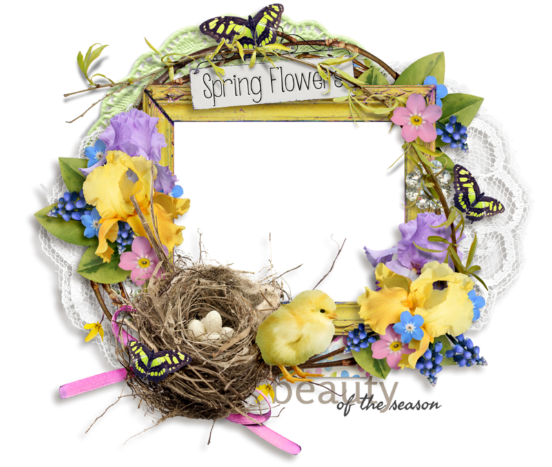 ForgetMeNot: Cluster spring frames