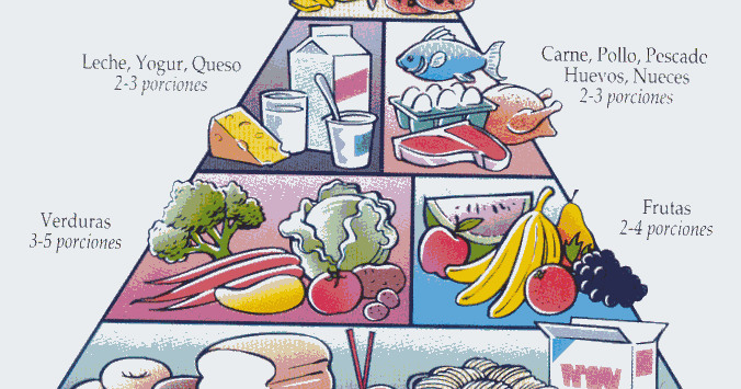 Los Siete Grupos Básicos de Alimentos