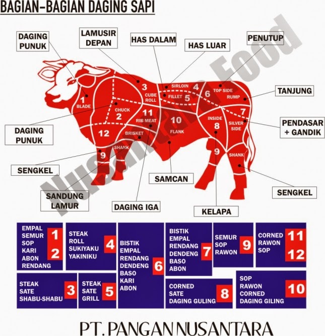 Bagian Daging Sapi - expresskuliner