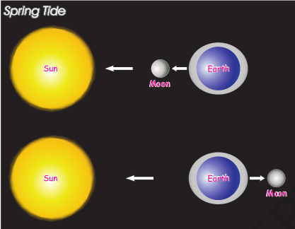 Chapter 5- Water quick revision notes | class7th | geography – EduGrown ...