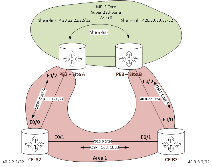 SwitchPacket: OSPF Sham-Link