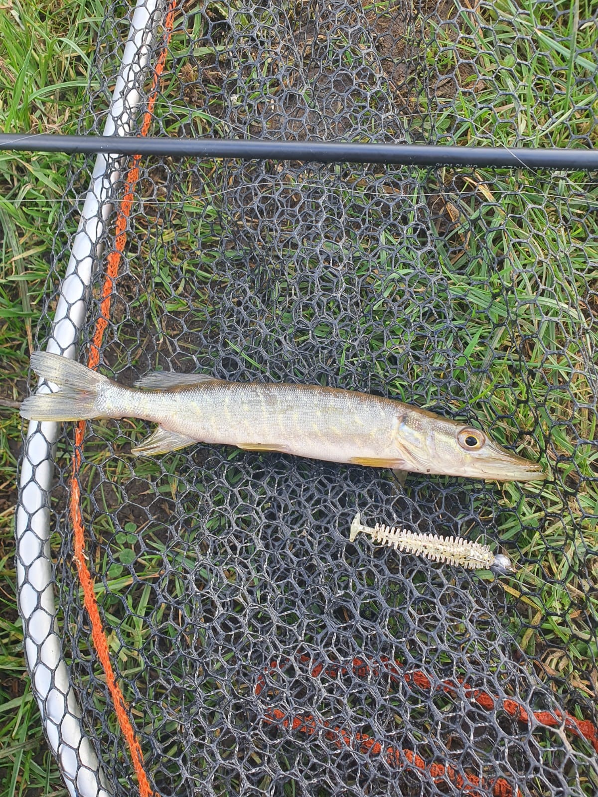 Oxfordshire PAC (RA 34) Gallery