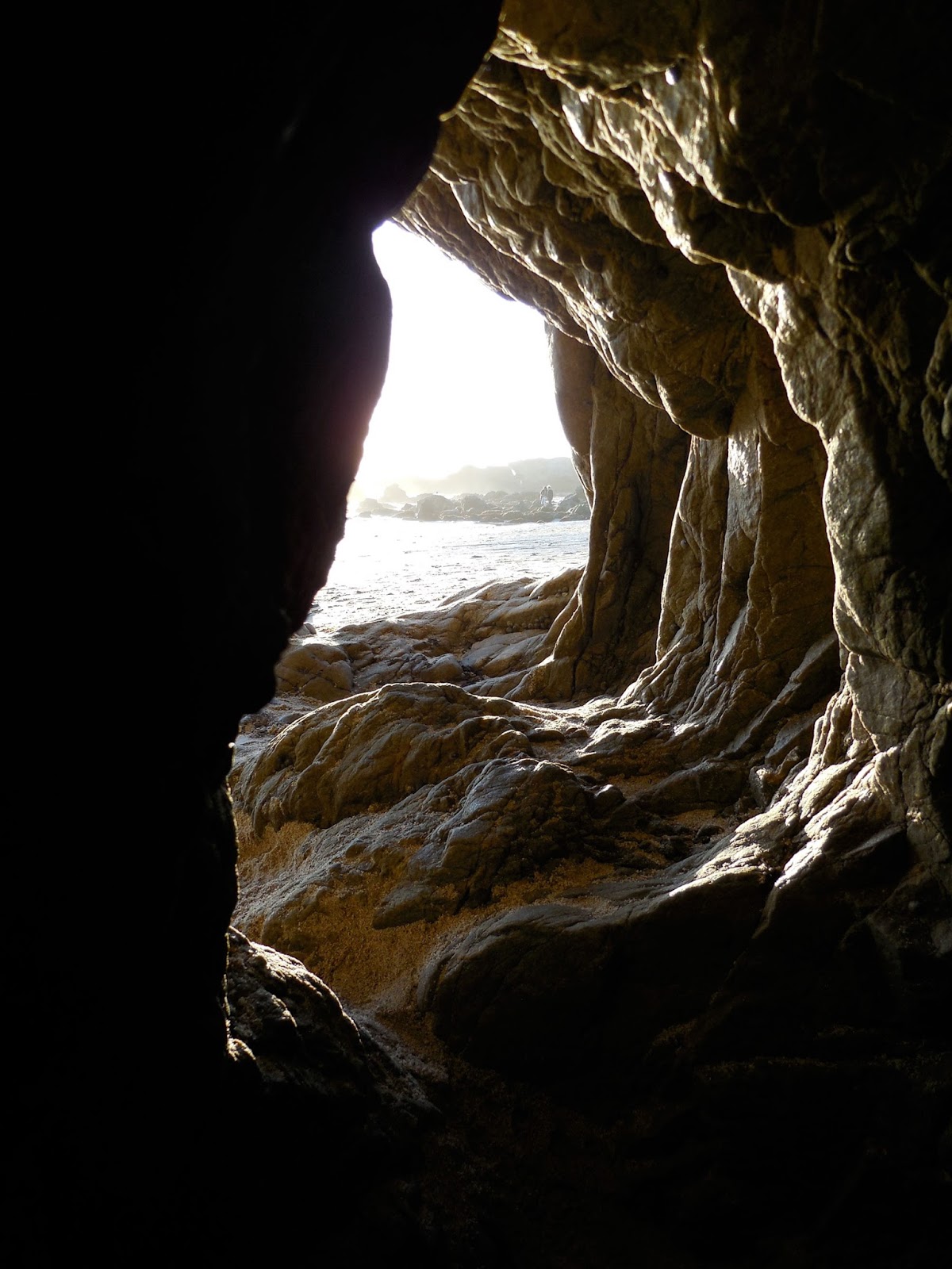 The Malibu Post: Malibu's Cabinet of Curiosities