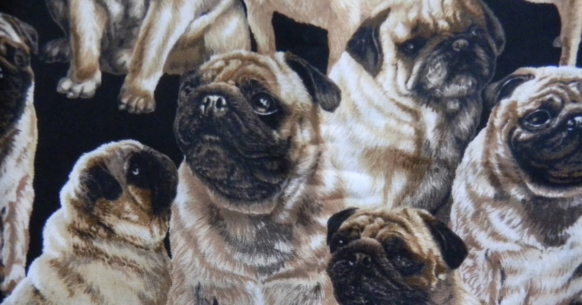 ginderellas: Pug Fabric