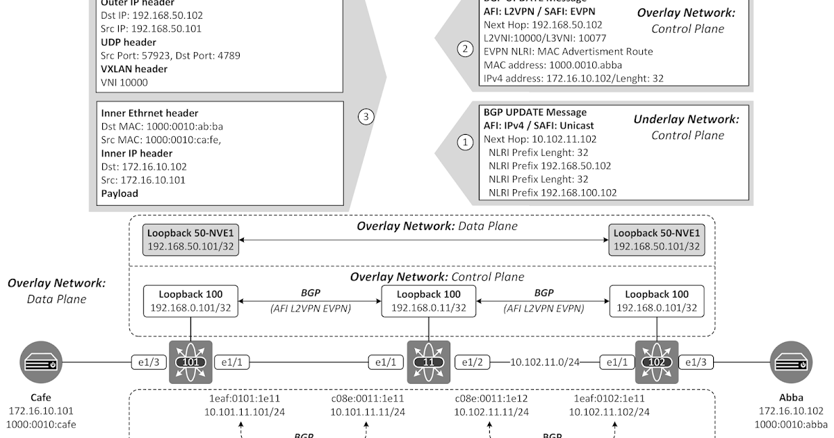 The Network Times: VXLAN Underlay Routing - Part III: Internal BGP