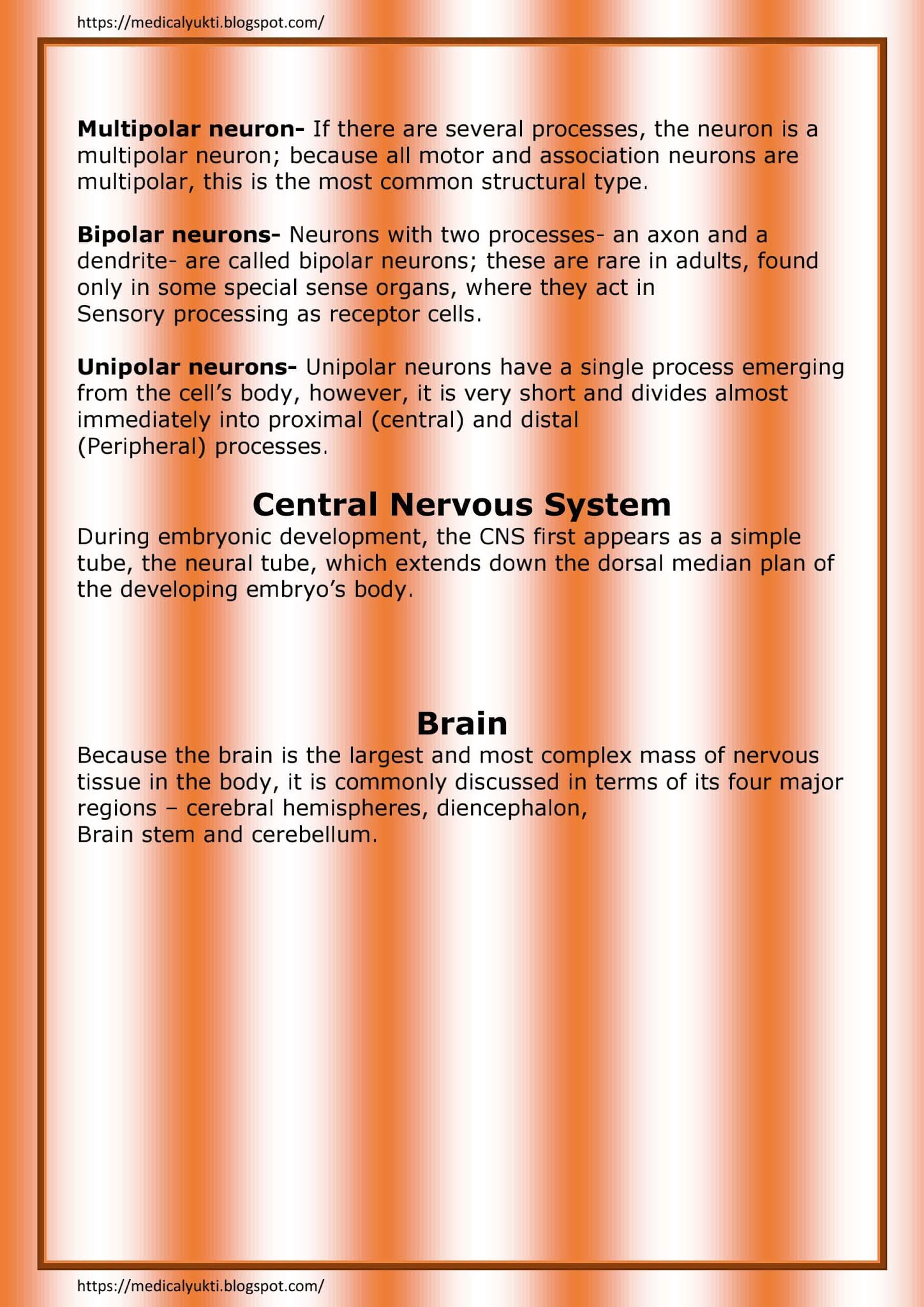 Nervous System Anatomy Physiology - Medical Yukti