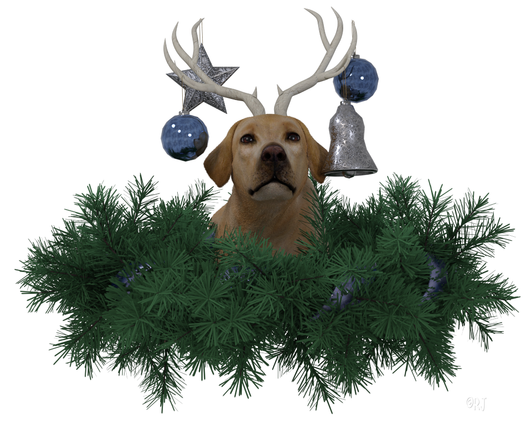 RJs Bits Bobs Props & Pieces: Santa Paws I & II