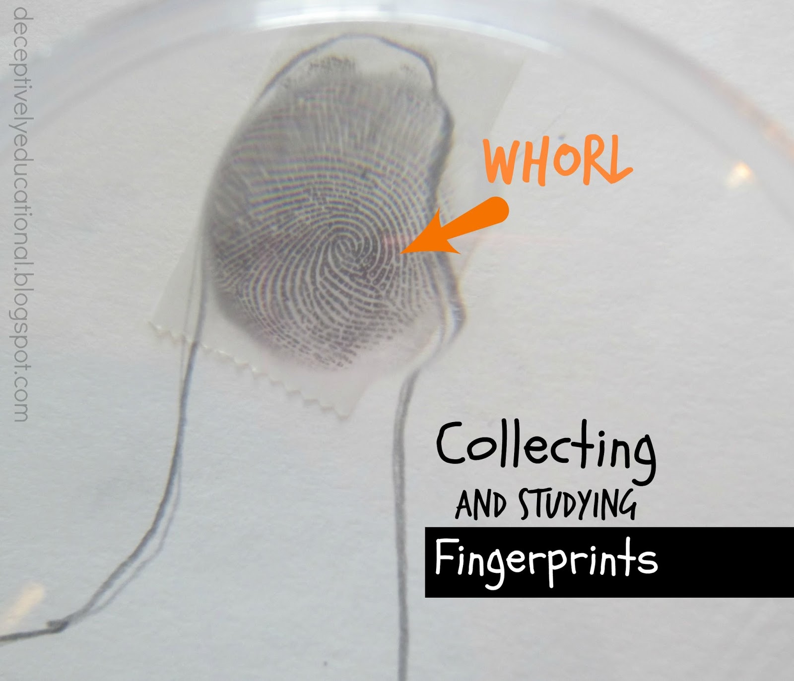 Relentlessly Fun, Deceptively Educational: Collecting (and Studying ...