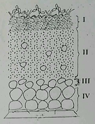 BECE 2018 Integrated Science Paper 2 - Essay - The Thesis