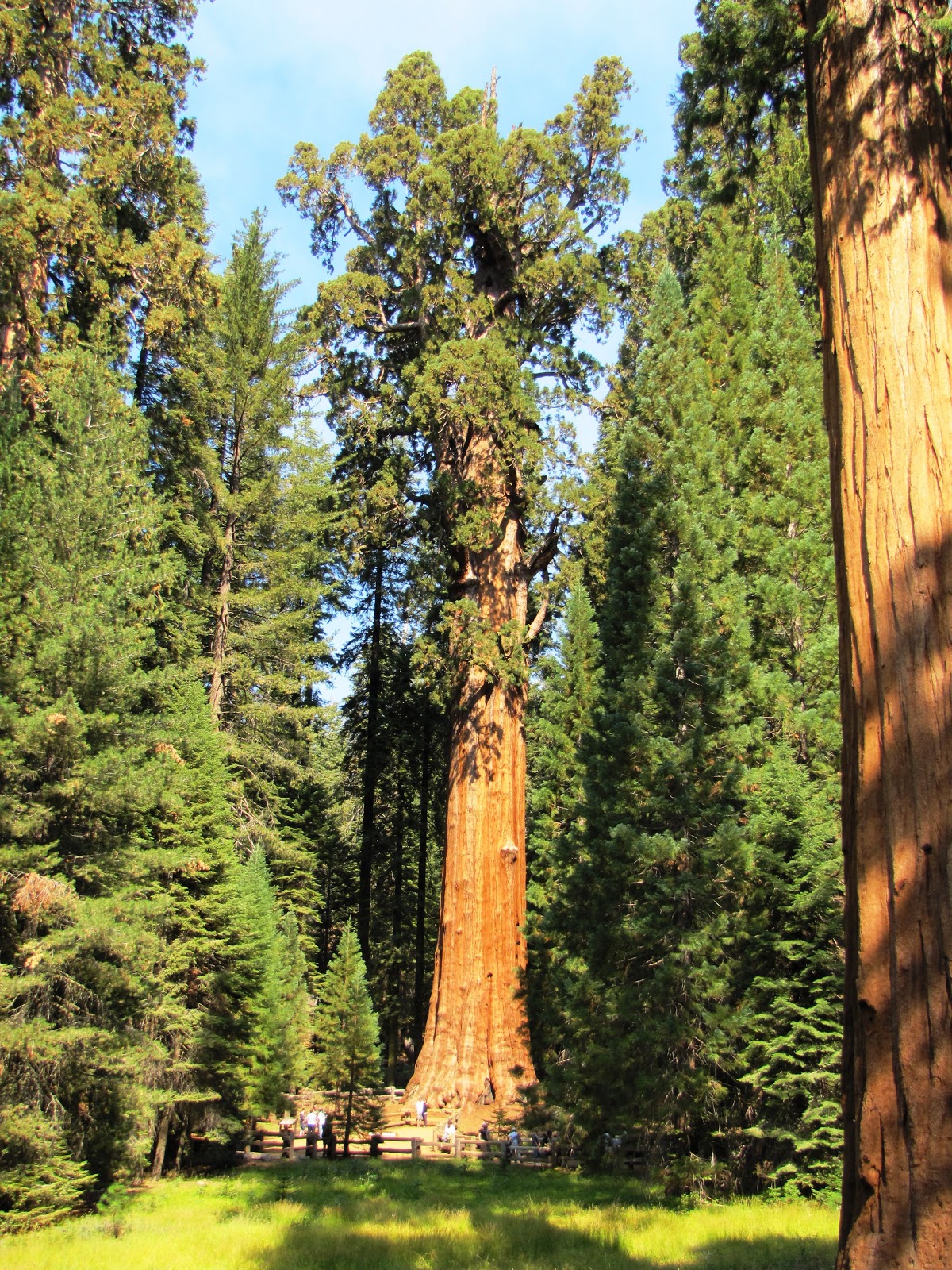 To Behold the Beauty: 2011