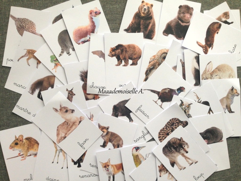 Maaademoiselle A.: || Cartes de nomenclature ; Les animaux de la forêt