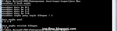 spot n travel: Menghapus Nilai Array pada Java